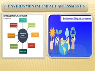 EIA POWER PLANT.pptx