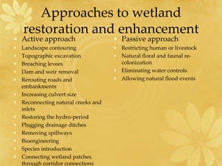 Wetland restoration, enhancement and creation | PPTX