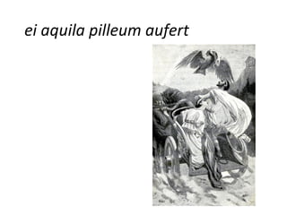 Ei aquila pilleum aufert | PPT