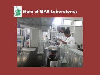 Eiar labs 2006-ec | PDF