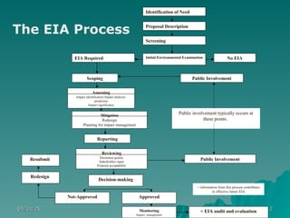 Different Steps in EIA Process of Environment | PPT