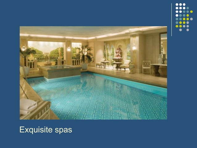 Investment in luxury hotel projects, Dejan Djordjevic | PPTX