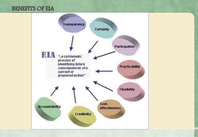Environmental Impact Assessment(EIA)