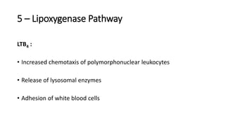 Eicosanoids and It’s role in Human Physiology | PPTX