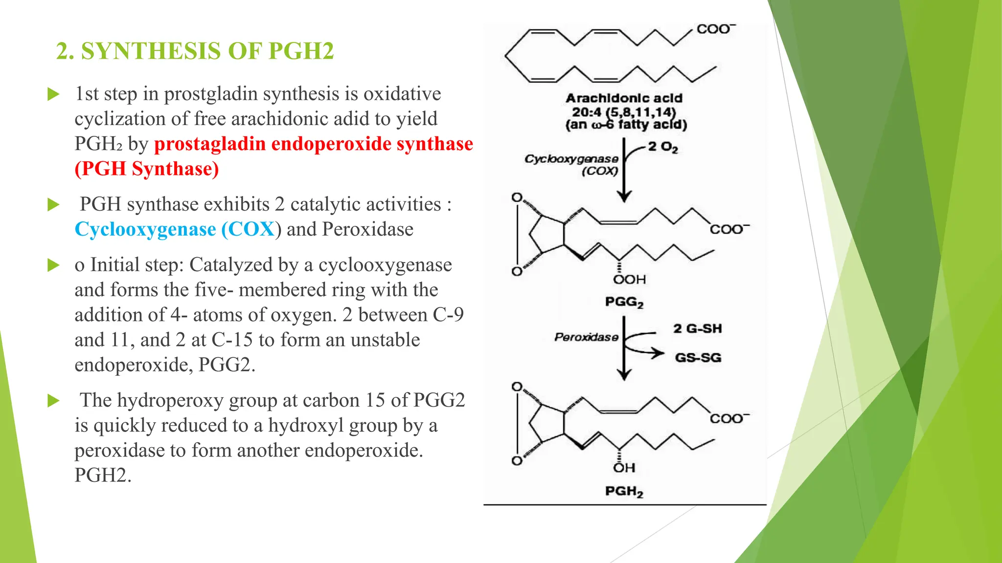 EICOSANOIDS & PROTAGLANDINS.pptx. . | PPTX