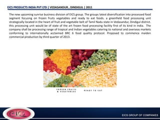 Eics group of companies profile | PDF