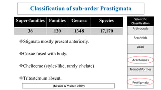 Eid presentation | PPT