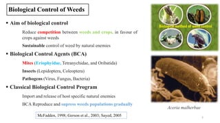 Eriophyoid Mites as Weed Biological Control Agent | PPTX