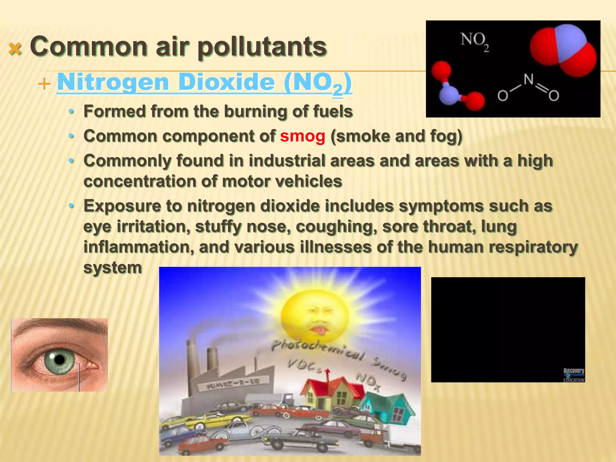 Pollution and it's Effects on Human Health | PPTX