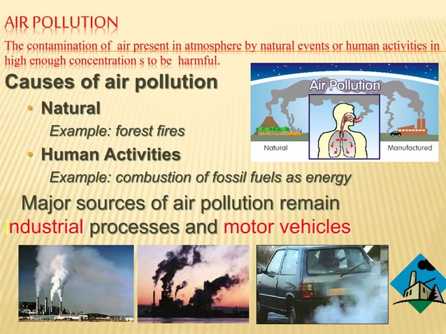 Pollution and it's Effects on Human Health | PPTX | Lung and ...