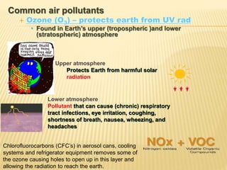 Pollution and it's Effects on Human Health | PPTX