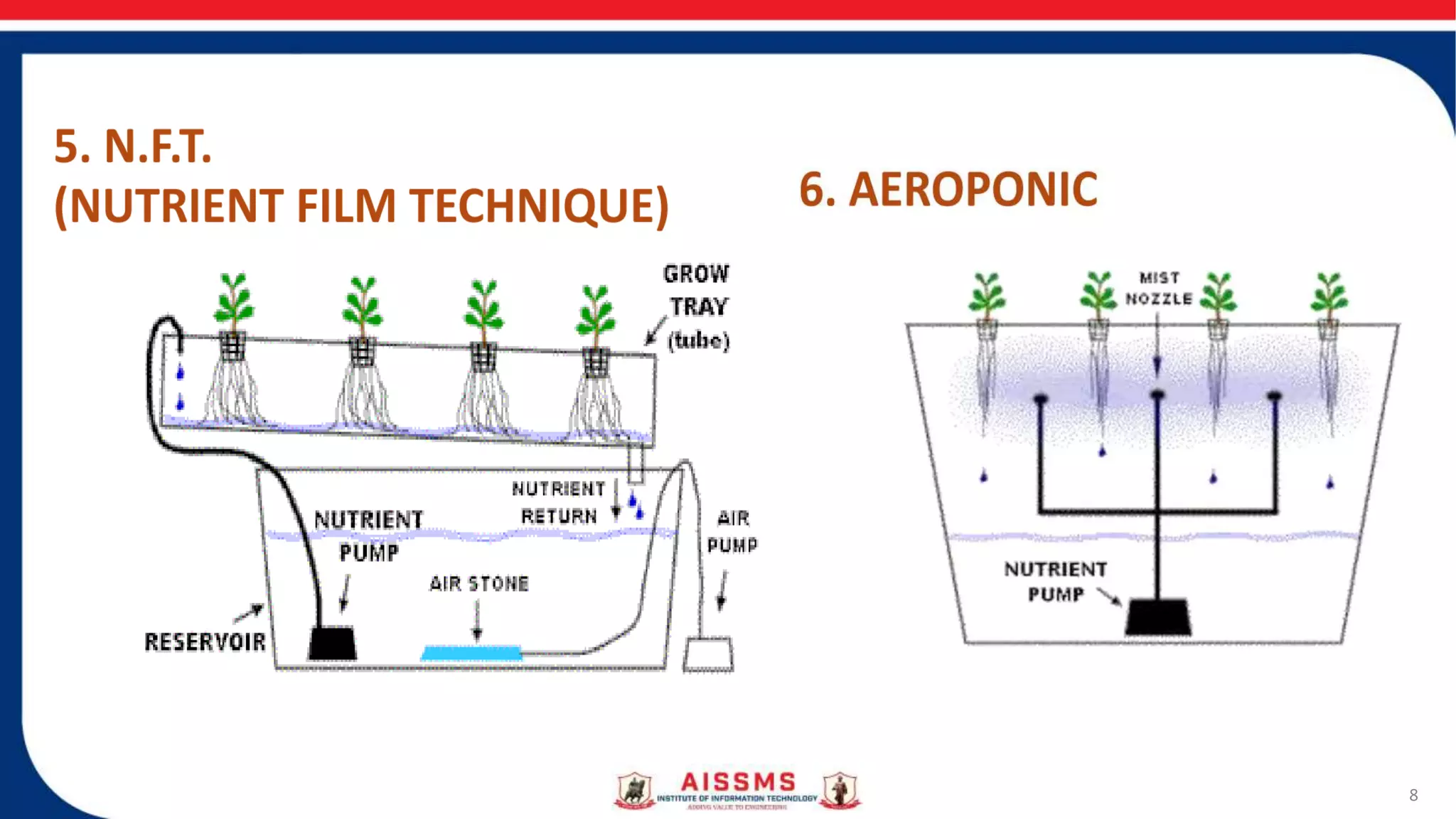 Hydroponics Farming | PPTX