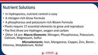 Hydroponics Farming | PPTX