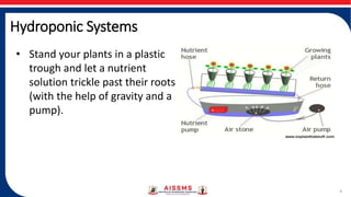 Hydroponics Farming | PPTX
