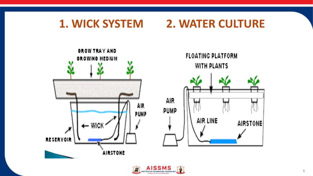 Hydroponics Farming | PPTX