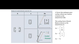 EIGENVALUES & EIGENVECTORS.pptx