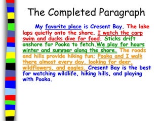 eight-paragraph_sentence.pptx