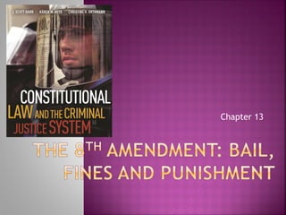 Amendment 8 Limits Of Fines And Punishments