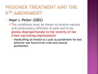 8th Amendment Examples