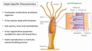 eighth section zoology laboratory guide.pptx
