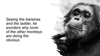 Eight monkeys put in a room- Rational thinking | PPTX