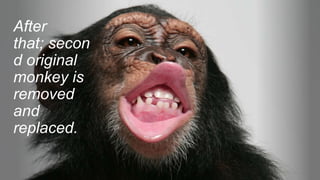 Eight monkeys put in a room- Rational thinking | PPTX