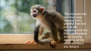 Eight monkeys put in a room- Rational thinking | PPTX