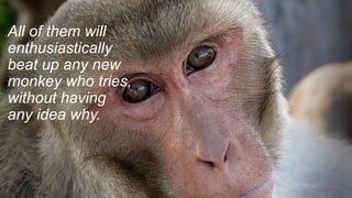 Eight monkeys put in a room- Rational thinking | PPTX