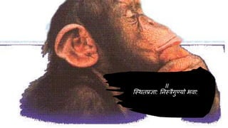 Eight monkeys put in a room- Rational thinking | PPTX