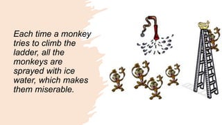 Eight monkeys put in a room- Rational thinking | PPTX