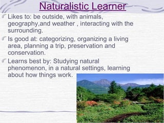 Eight styles of learning | PPT