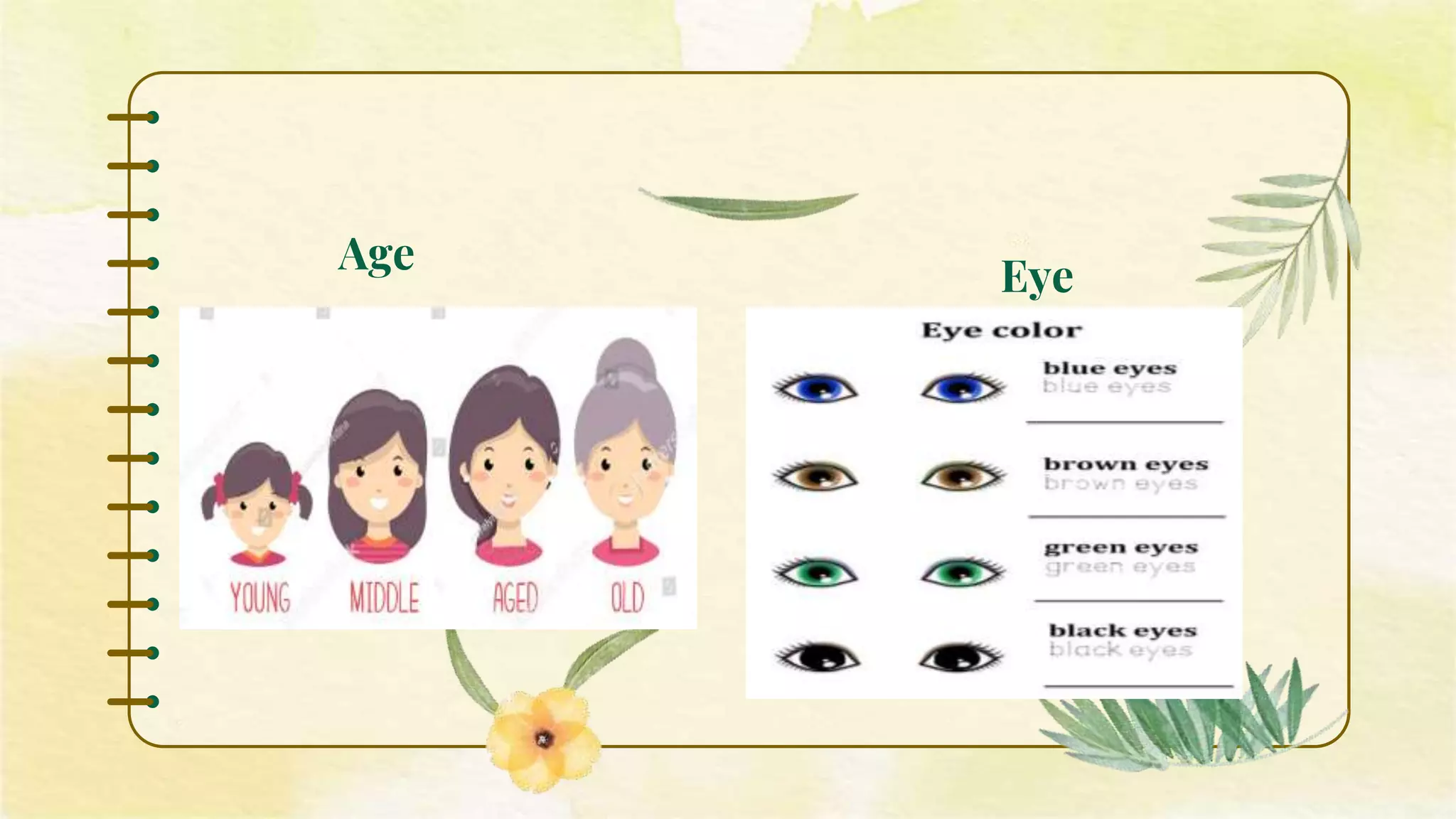 Eii3 DESCRIBING PEOPLE, PLACES AND THINGS | PPTX