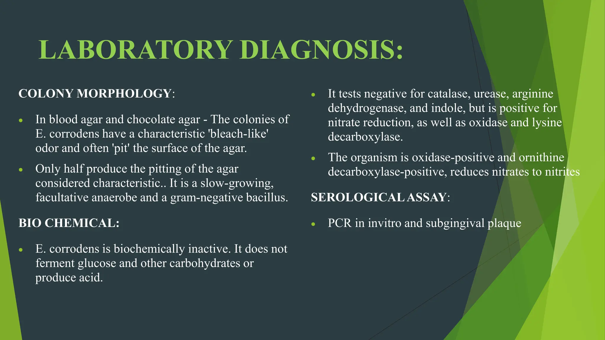 Eikinella corrodans ppt.pathogenic Bacteria | PPTX