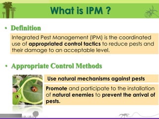 The (im)possibilitiies of biological protection in interior landscaping ...