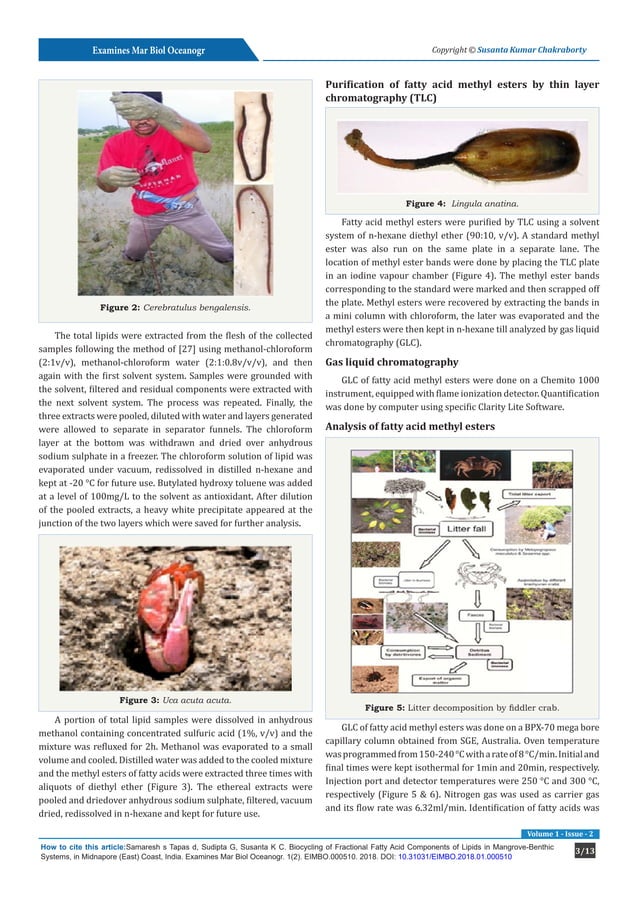 Biocycling of Fractional Fatty Acid Components of Lipids in Mangrove ...