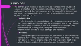 Eimeria infection diseases of poultry.pptx