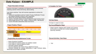 Eim project status example of scope | PDF