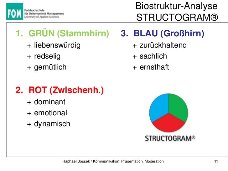 Einfluss der Gehirnteile auf die Kommunikation