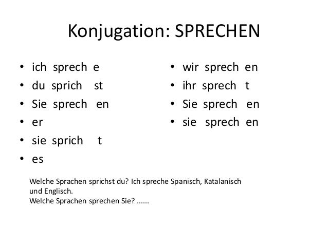 A1 Einheit 1 Übungen