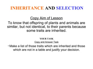 All About Inheritance And Selection | PPT