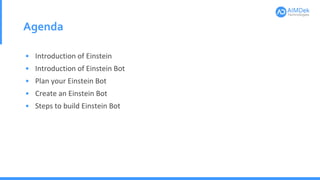 Einstein Bots | PPT
