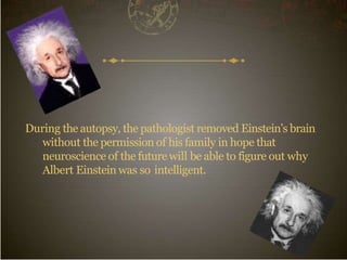 Albert Einstein | PPT