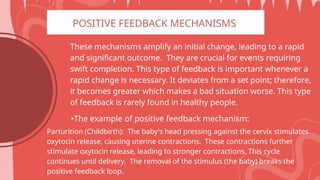 FEEDBACK_MECHANISM EINSTEIN_GROUP8..pptx