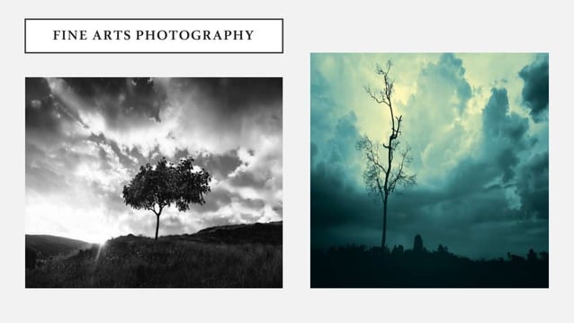 Einstein Group 1.pptx