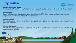 Einstein prediction builder & Einstein language | PPT