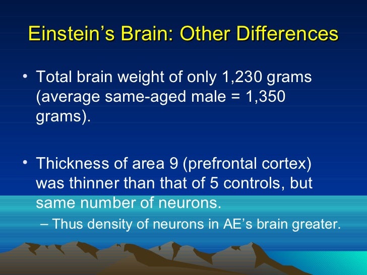 Einsteins brain