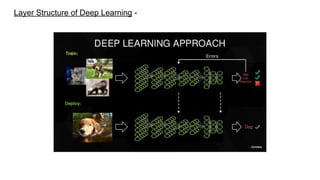 Einstein Vision | PDF