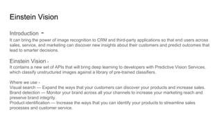 Einstein Vision | PDF