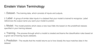 Einstein Vision | PDF