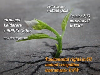 European Investigation order and rights of the defence | PPT